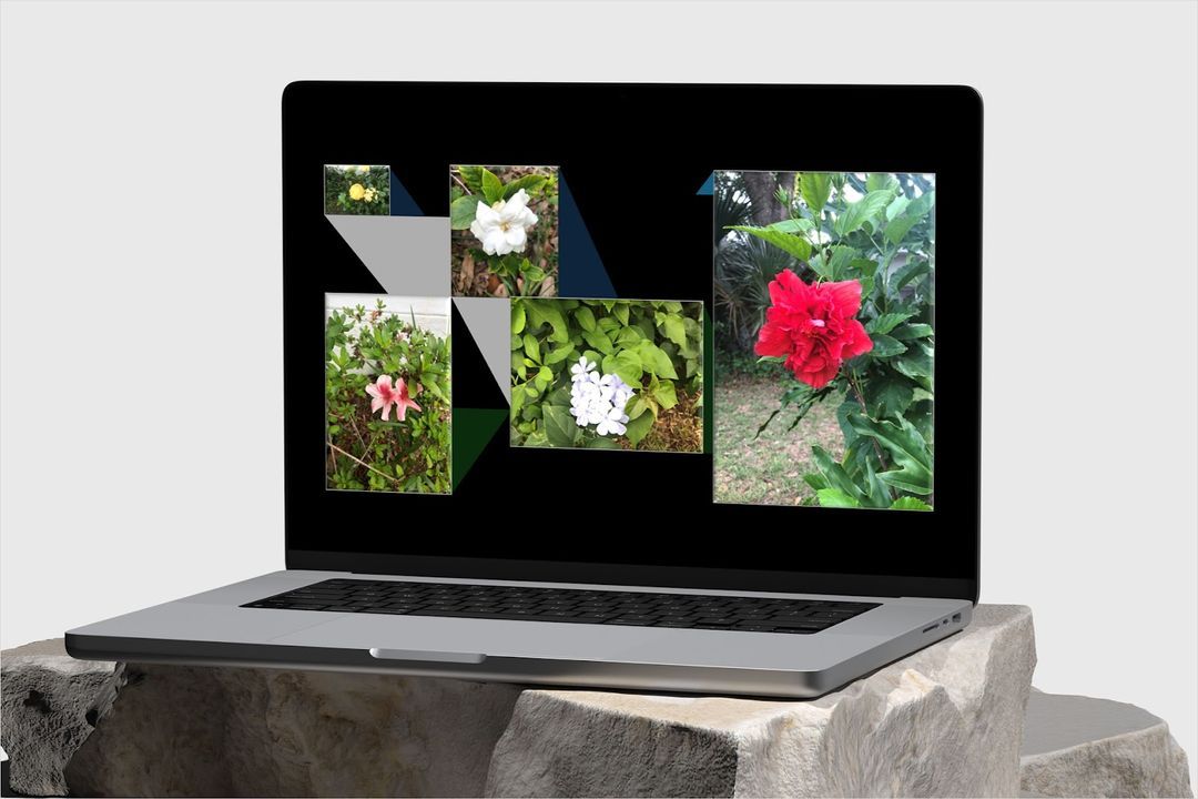 How to make a photo collage in PowerPoint - Plus